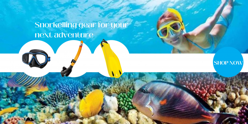 Dive Shop | Scuba Diving Gear and Equipment | Scuba Warehouse